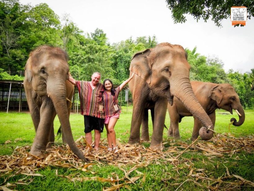 Chiang Mai: Elephant Jungle Sanctuary with Lunch & Transfer - Key Points
