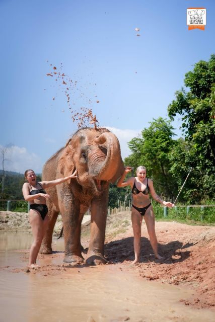 Chiang Mai: Elephant Jungle Sanctuary with Lunch & Transfer - Final Thoughts: Is It Right for You?