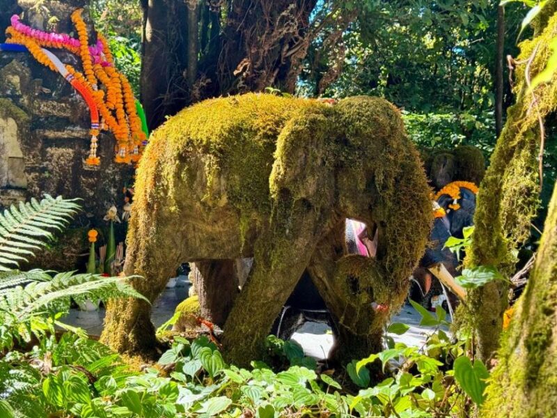Chiang Mai Elephant Recovery Center, Doi Inthanon and Hiking - Who Should Consider This Tour