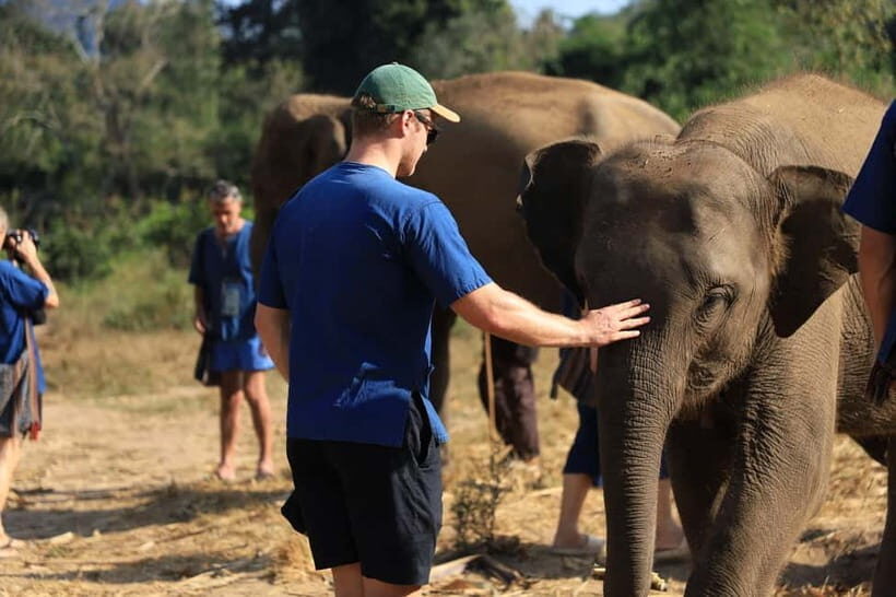 Chiang Mai: Elephant Sanctuary & Bamboo Rafting - Introduction