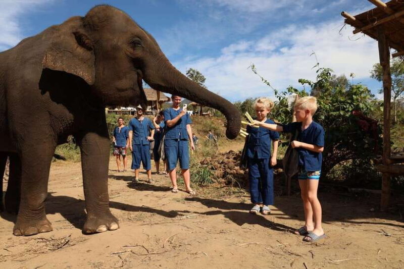 Chiang Mai: Elephant Sanctuary & Bamboo Rafting - Key Points