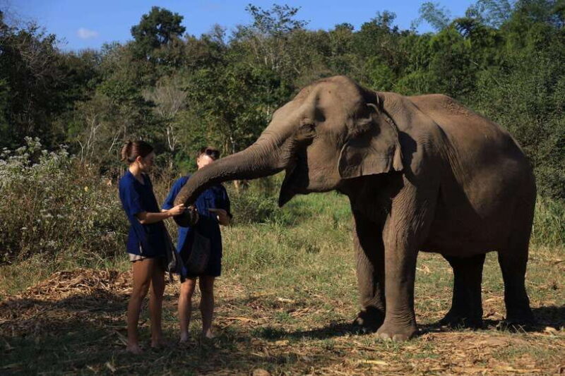 Chiang Mai: Elephant Sanctuary & Bamboo Rafting - What to Expect and Practical Tips