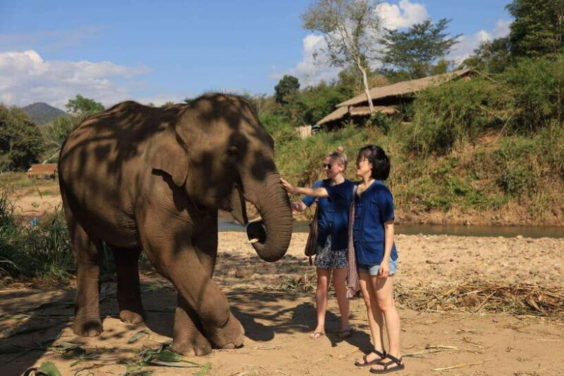 Chiang Mai: Elephant Sanctuary & Bamboo Rafting - Final Thoughts