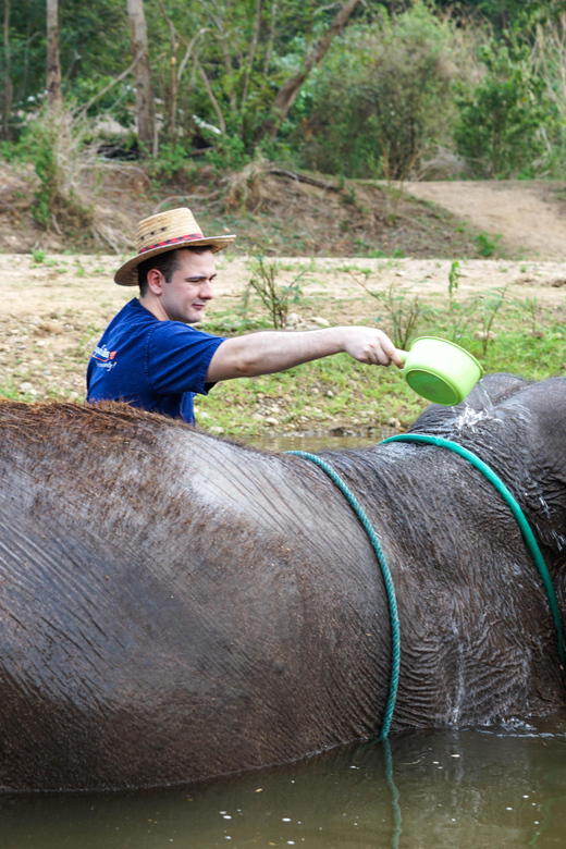 Chiang Mai: Elephant Sanctuary Experience & Doi Suthep Tour - Key Points