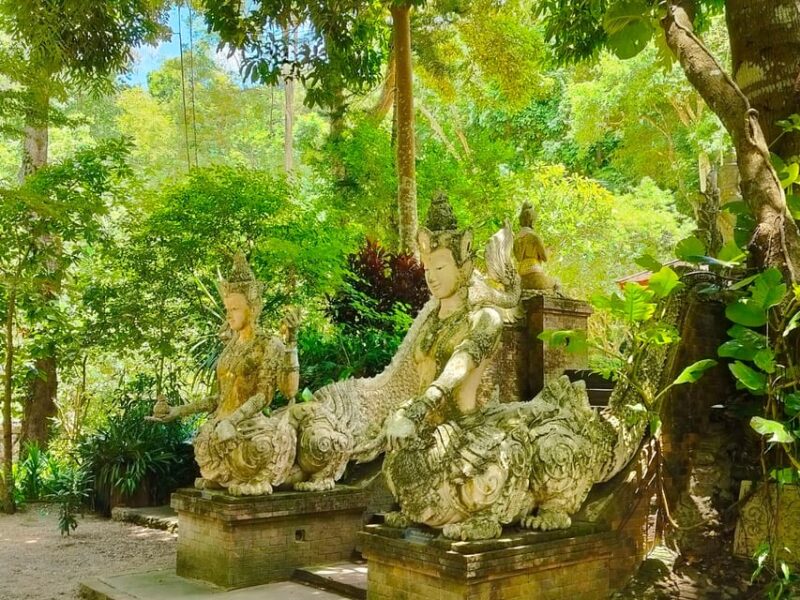 Chiang Mai: Elephant Sanctuary Experience & Doi Suthep Tour - Final Thoughts