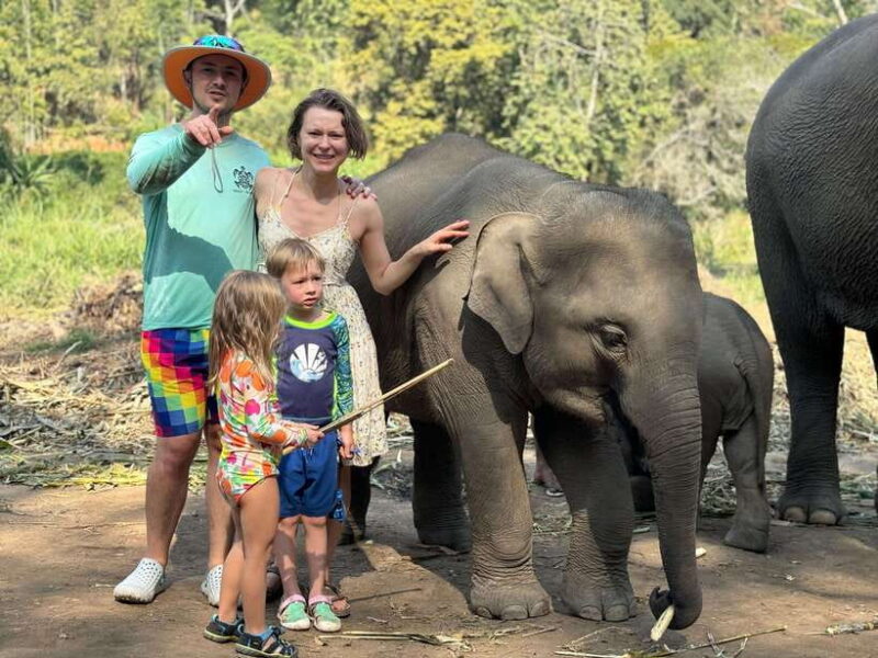 Chiang Mai: Elephant Sanctuary Feeding Program Half-Day Tour - The Sum Up: Who Is This Tour For?