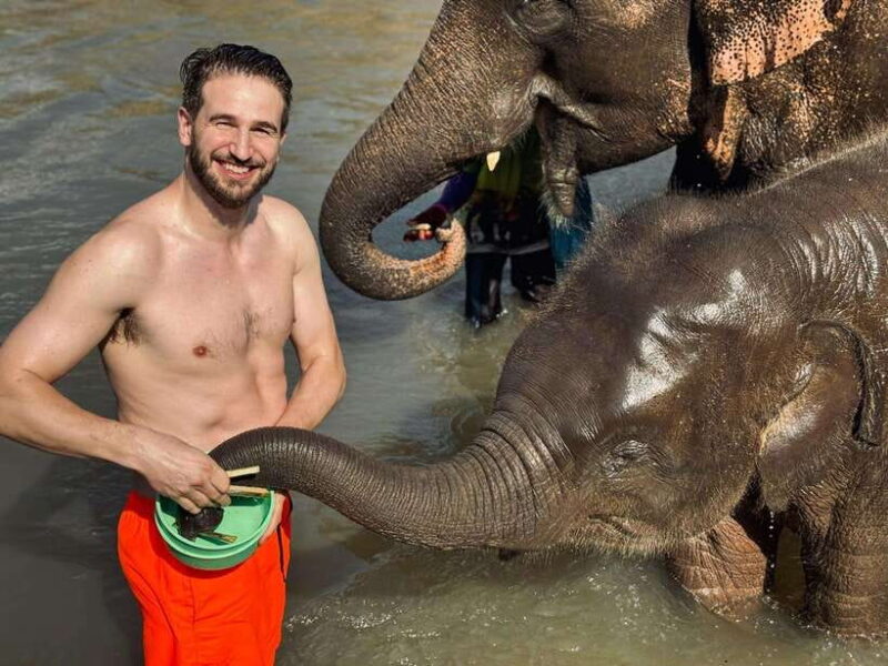 Chiang Mai: Elephant Sanctuary Feeding Program Half-Day Tour - FAQ