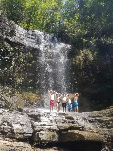 Chiang Mai: Elephant Sanctuary & Jungle Trek w/ Waterfall - Key Points