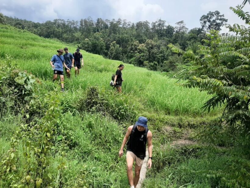 Chiang Mai: Elephant Sanctuary & Jungle Trek w/ Waterfall - Starting Out: Convenience and Comfort