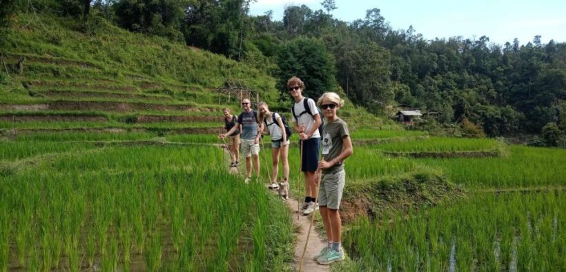 Chiang Mai: Elephant Sanctuary & Jungle Trek w/ Waterfall - What’s Included and Why It Matters