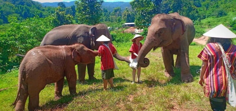 Chiang Mai: Elephant Sanctuary Local Hill Tribe Caretakers - Final Thoughts