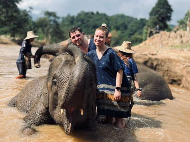 Chiang Mai: Elephant Sanctuary, Long Neck & Sticky Waterfall - Chiang Mai: Elephant Sanctuary, Long Neck & Sticky Waterfall – An Honest Look