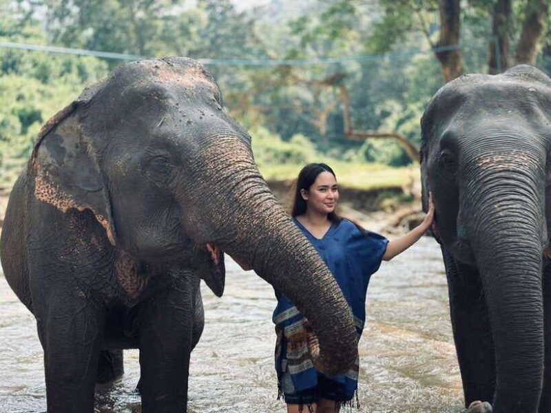 Chiang Mai: Elephant Sanctuary, Long Neck & Sticky Waterfall - A Close Look at the Experience