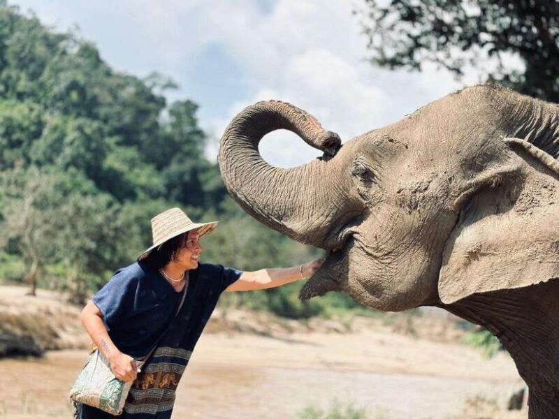 Chiang Mai: Elephant Sanctuary, Long Neck & Sticky Waterfall - The Value of This Tour