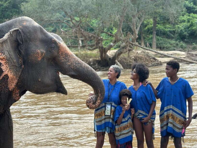 Chiang Mai: Elephant Sanctuary, Long Neck & Sticky Waterfall - Who Would Enjoy This Tour?