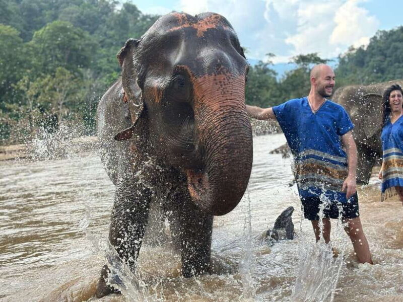 Chiang Mai: Elephant Sanctuary, Long Neck & Sticky Waterfall - Frequently Asked Questions