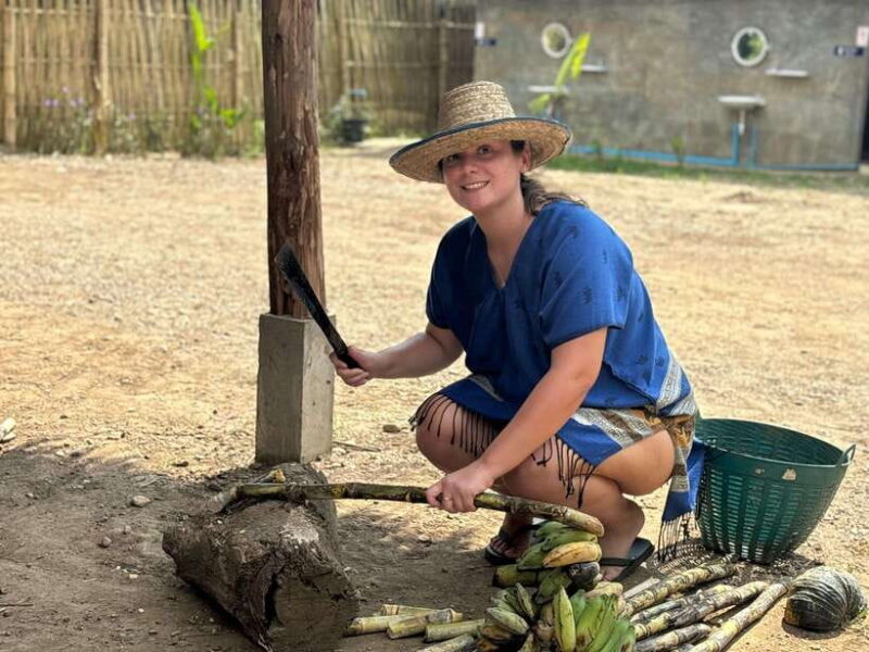 Chiang Mai: Elephant Sanctuary, Long Neck & Sticky Waterfall - Final Thoughts