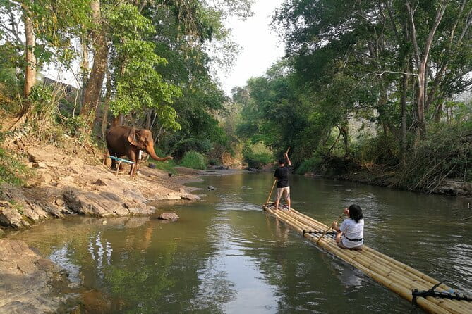 Chiang Mai Elephant Sanctuary Observation and Bamboo Rafting - FAQs