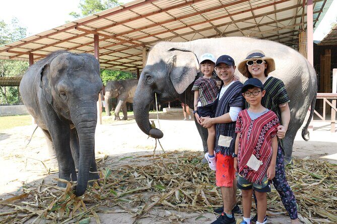 Chiang Mai Elephant Sanctuary Small Group Ethical Tour - The Sum Up