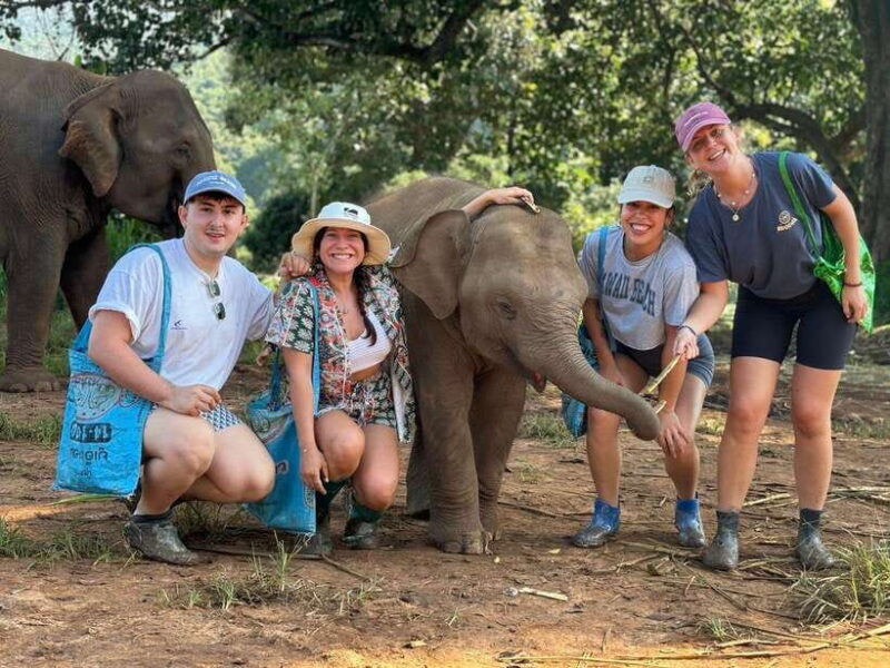 Chiang Mai: Elephant Sanctuary, Waterfall & Bamboo Rafting - Detailed Breakdown of the Experience