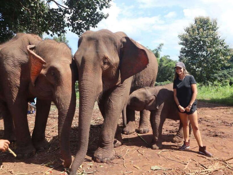 Chiang Mai: Elephant Sanctuary & Waterfall Group Tour - What Makes This Tour Stand Out
