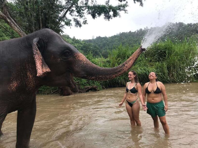 Chiang Mai: Elephant Sanctuary & Waterfall Group Tour - Who Is This Tour Best For?