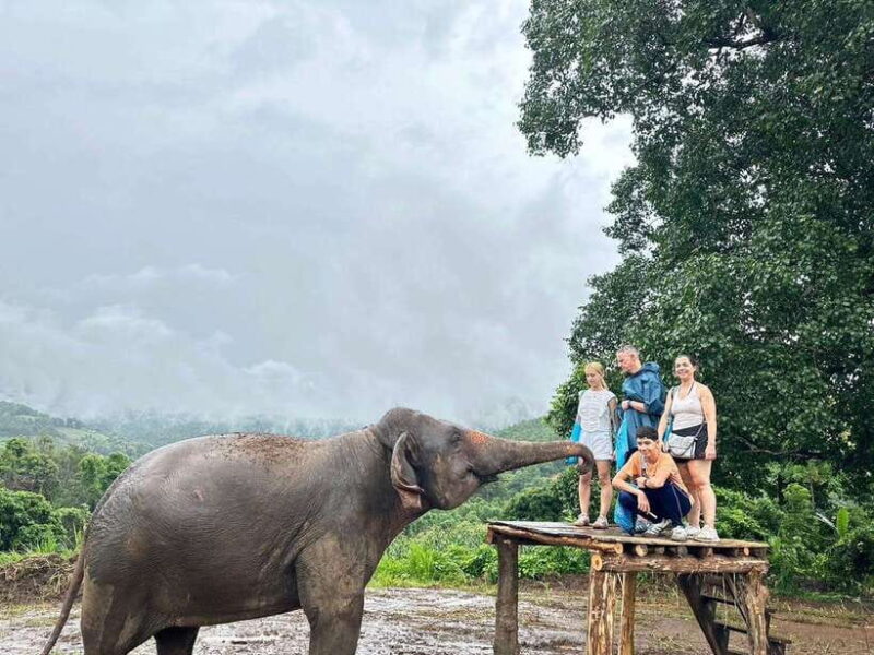 Chiang Mai: Elephant Sanctuary & Waterfall Group Tour - Final Words