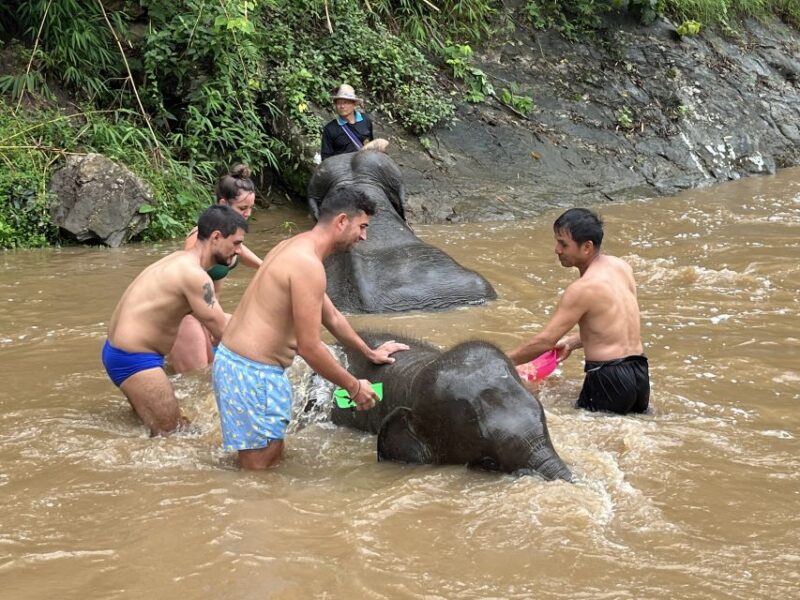 Chiang Mai: Elephant Sanctuary & Waterfall Group Tour - The Sum Up