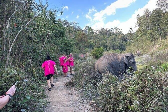 Chiang Mai Elephant Watch and Wang River Rafting - FAQ