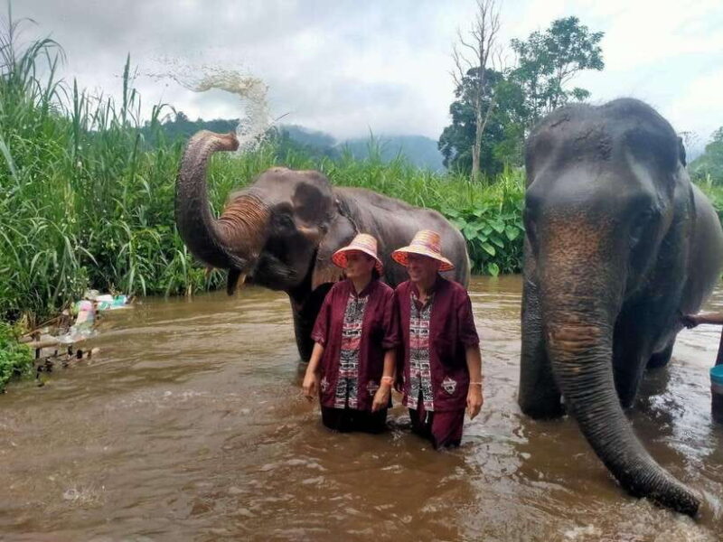 Chiang Mai: Elephants, Sticky Waterfalls, Market and Temple - Additional Practicalities and Tips