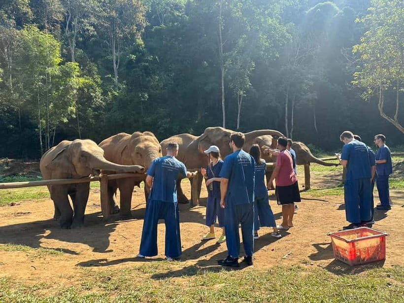 Chiang Mai: Elephants, Waterfall, and White Water Rafting - Key Points