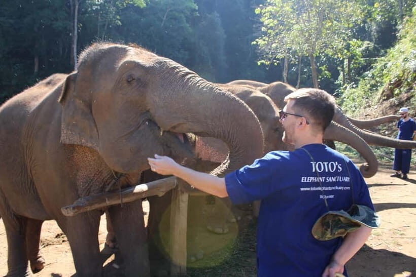 Chiang Mai: Elephants, Waterfall, and White Water Rafting - An In-Depth Look at the Experience