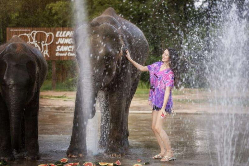 Chiang Mai: Ethical Elephant Feeding & Shower Program - What’s Included and What You Should Budget
