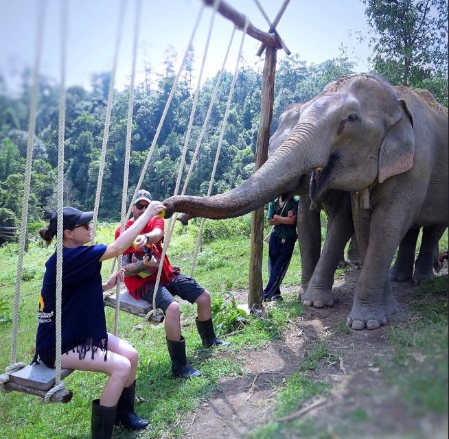 Chiang Mai : Ethical Elephant Sanctuary and ATV Adventure - Exploring the Itinerary: What to Expect