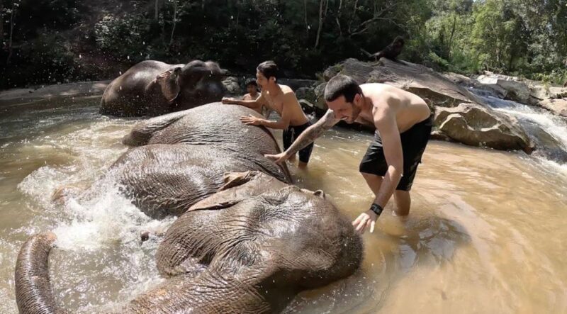Chiang Mai : Ethical Elephant Sanctuary and ATV Adventure - Authenticity and Ethical Focus