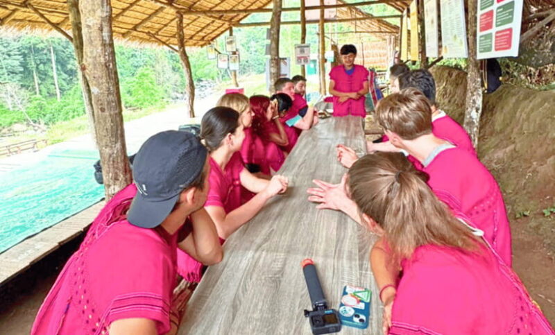 Chiang Mai: Ethical Half Day Elephant Sanctuary & Waterfall - The Detailed Itinerary