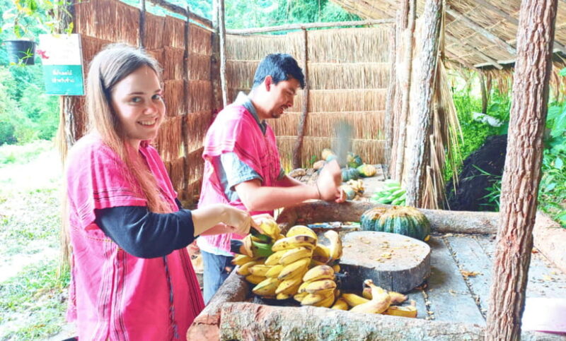 Chiang Mai: Ethical Half Day Elephant Sanctuary & Waterfall - Whats Included and What It Means for You