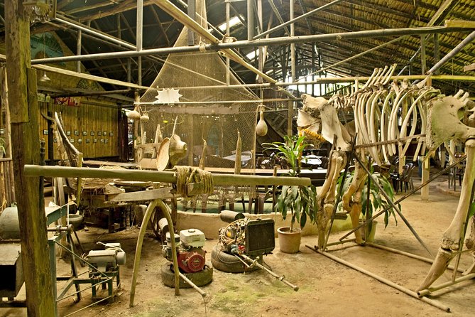 Chiang Mai farming and Khao Soy - What’s Worth Noting