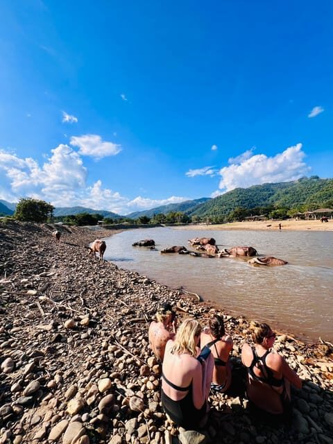 Chiang Mai Full-Day Adventure: Trekking, Tubing & Elephant - The Sum Up