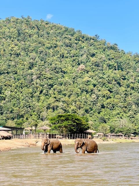 Chiang Mai Full-Day Adventure: Trekking, Tubing & Elephant - FAQs