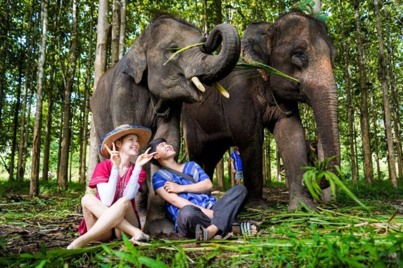 Chiang Mai: Full-Day Kerchor Elephant Eco Park Tour & Trek - How the Experience Comes to Life