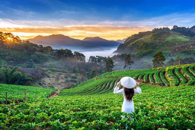 Chiang Mai: Full-Day Private Car Charter to Doi Ang Khang - Key Points