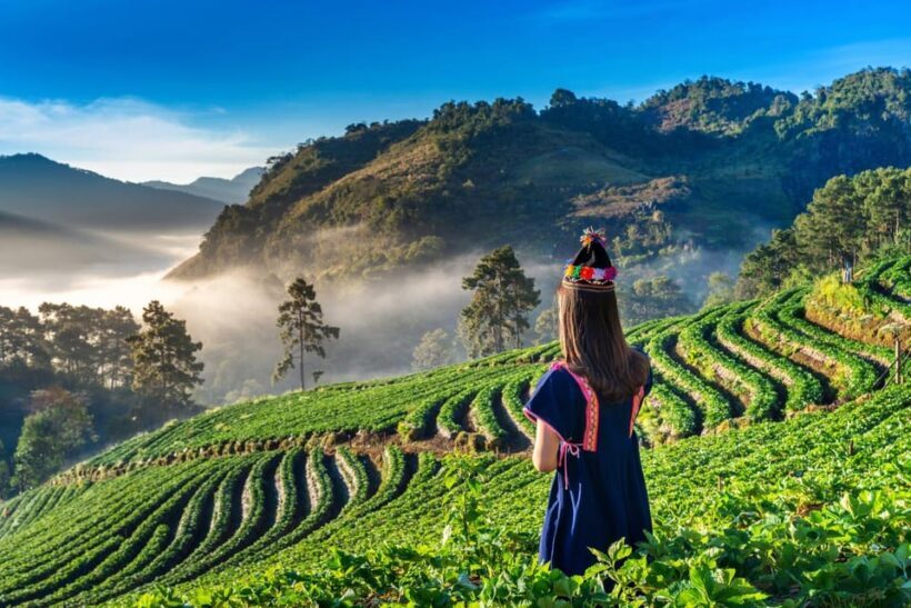 Chiang Mai: Full-Day Private Car Charter to Doi Ang Khang - An In-Depth Look at the Full-Day Private Car Trip to Doi Ang Khang