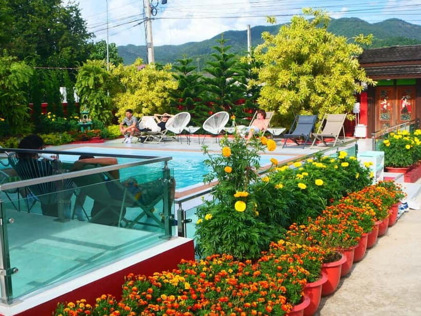 Chiang Mai: Full-Day Thai Cooking Experience at a Local Farm - An Authentic Taste of Northern Thailand’s Culinary Charm