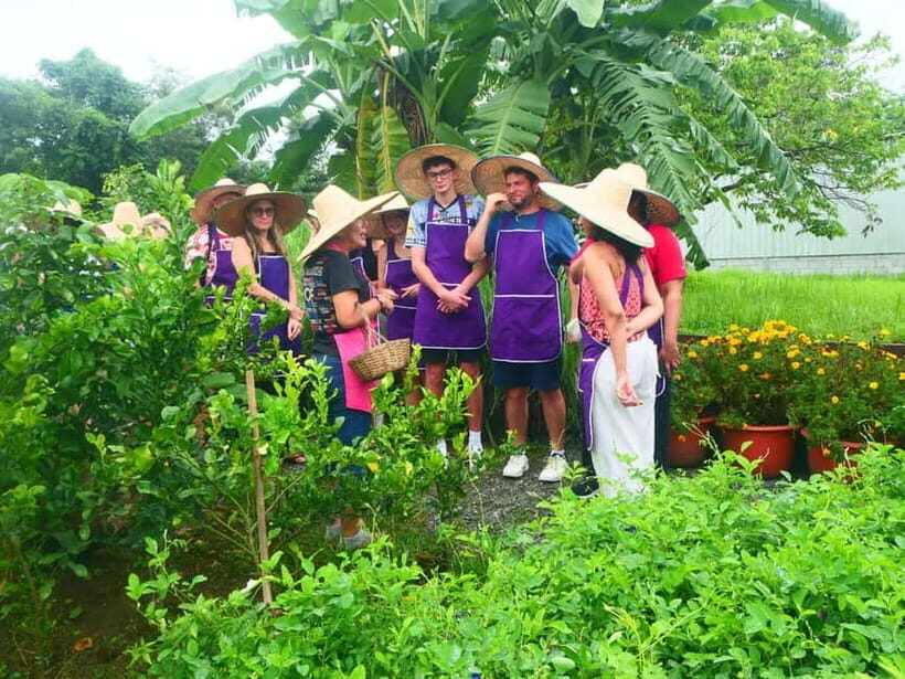 Chiang Mai: Full-Day Thai Cooking Experience at a Local Farm - The Experience in Context