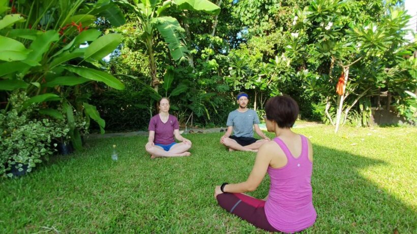 Chiang Mai: Full-Day Yoga & Meditation Experience with Lunch - Yoga Practice in a Tranquil Setting