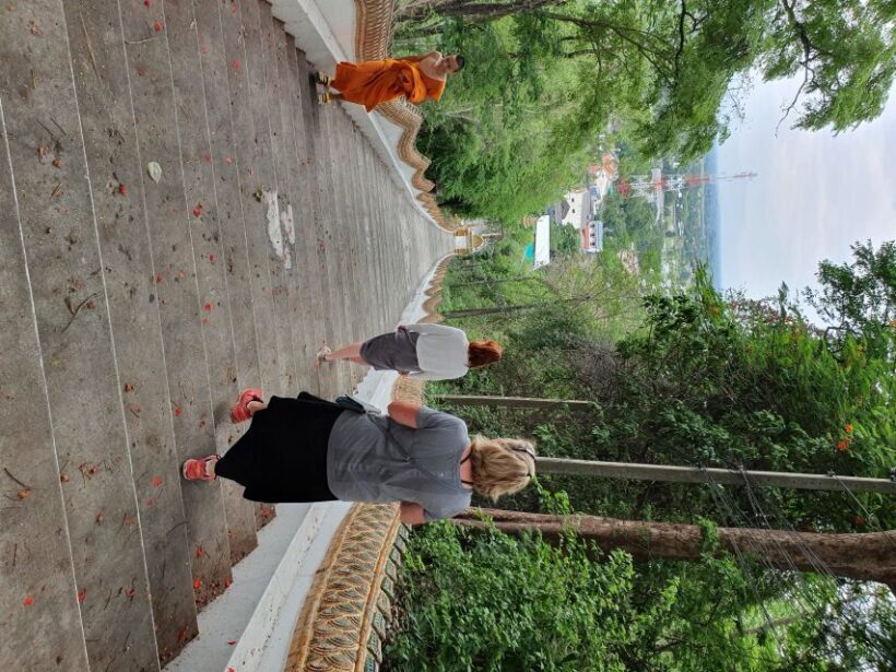 Chiang Mai: Full-Day Yoga & Meditation Experience with Lunch - What’s Included & What’s Not
