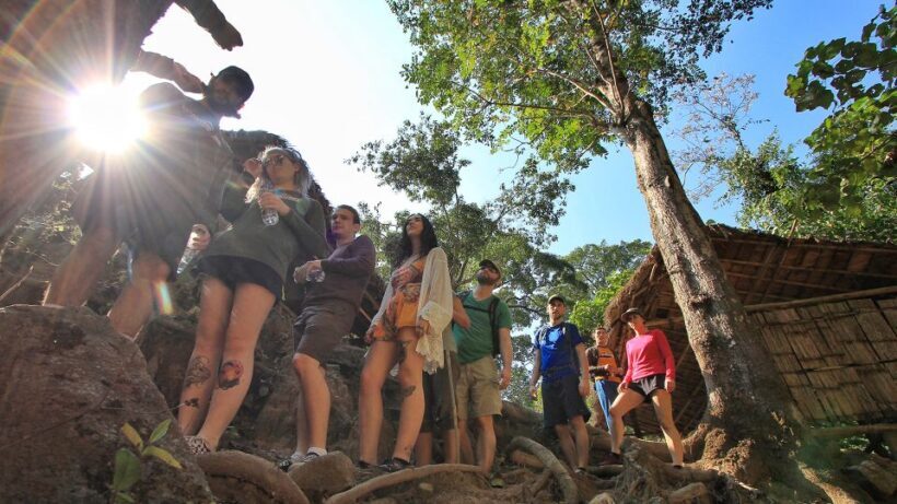 Chiang Mai: Guided Jungle and Waterfall Trek with Transfer - Detailed Itinerary Breakdown