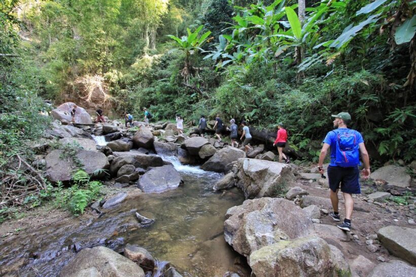 Chiang Mai: Guided Jungle and Waterfall Trek with Transfer - Practical Tips for Travelers
