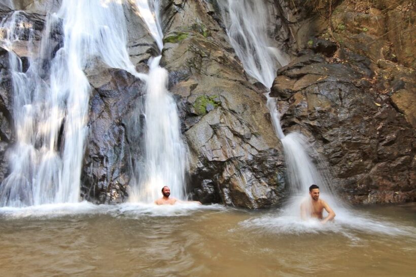 Chiang Mai: Guided Jungle and Waterfall Trek with Transfer - Who Will Enjoy This Tour?